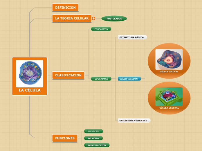 MAPA MENTAL LA CELULA - Mind Map